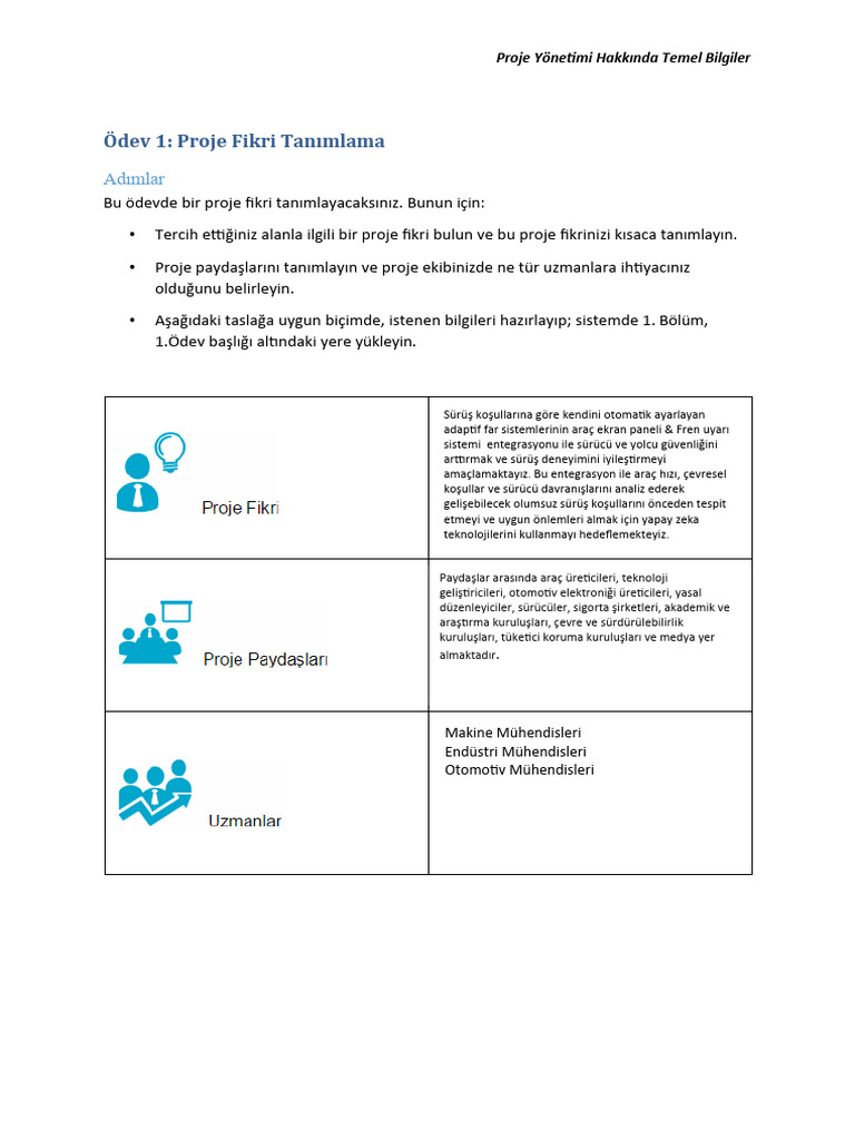 15 - Proje - Yonetimi - Bölüm1 - Odev1 | PDF