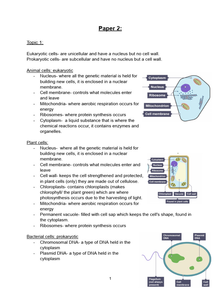 Paper 2 Biology - Summary Notes | PDF | Menstrual Cycle | Hormone