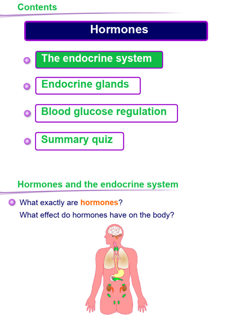 1 Hormones Biology Pdf Endocrine System Hormone