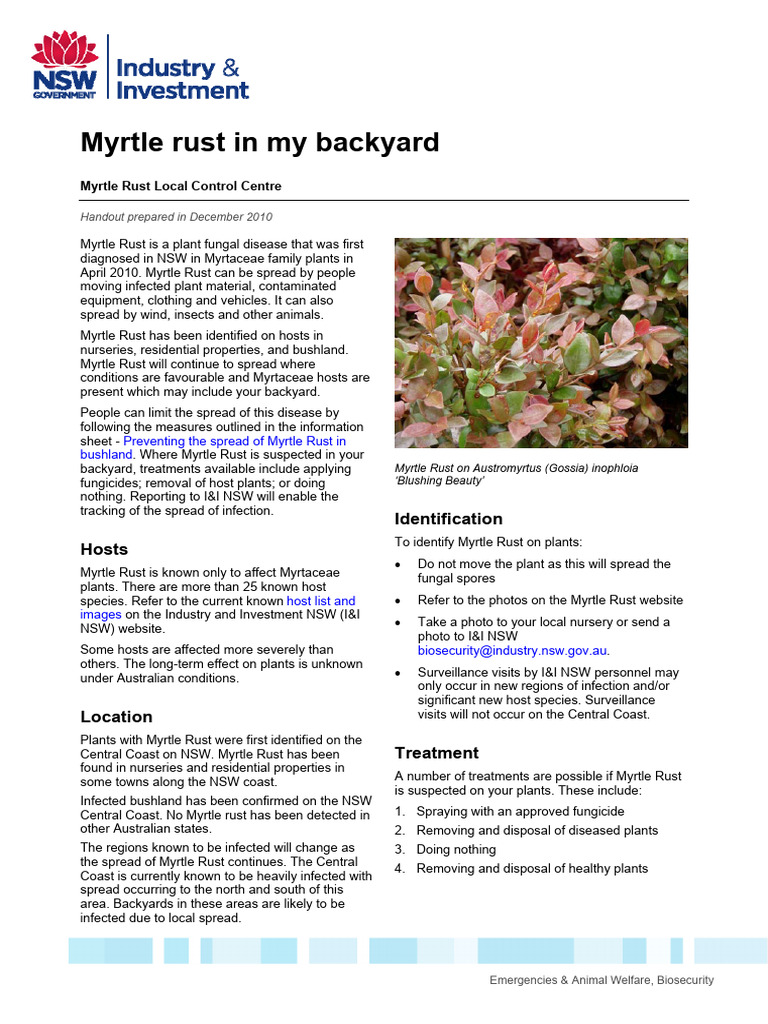 Myrtle Rust in My Backyard | PDF