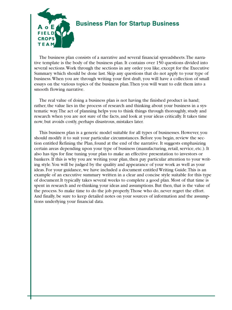 Startup Business Plan Guide | PDF | Balance Sheet | Inventory