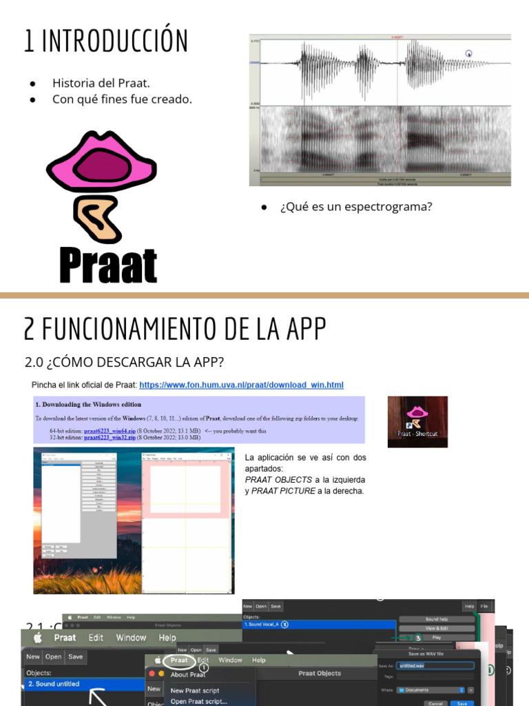 Introducción Al Uso Del Praat | PDF | Frecuencia | Algoritmos