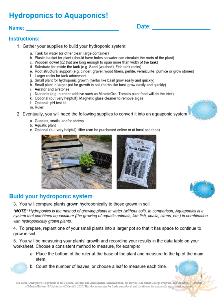 5LS - Hydroponics To Aquaponics FI - Activity Sheet - 1 | Download Free ...