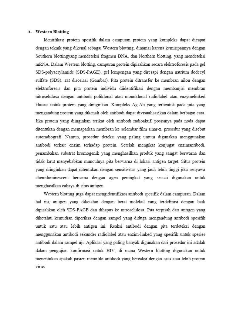 Western Blotting | PDF