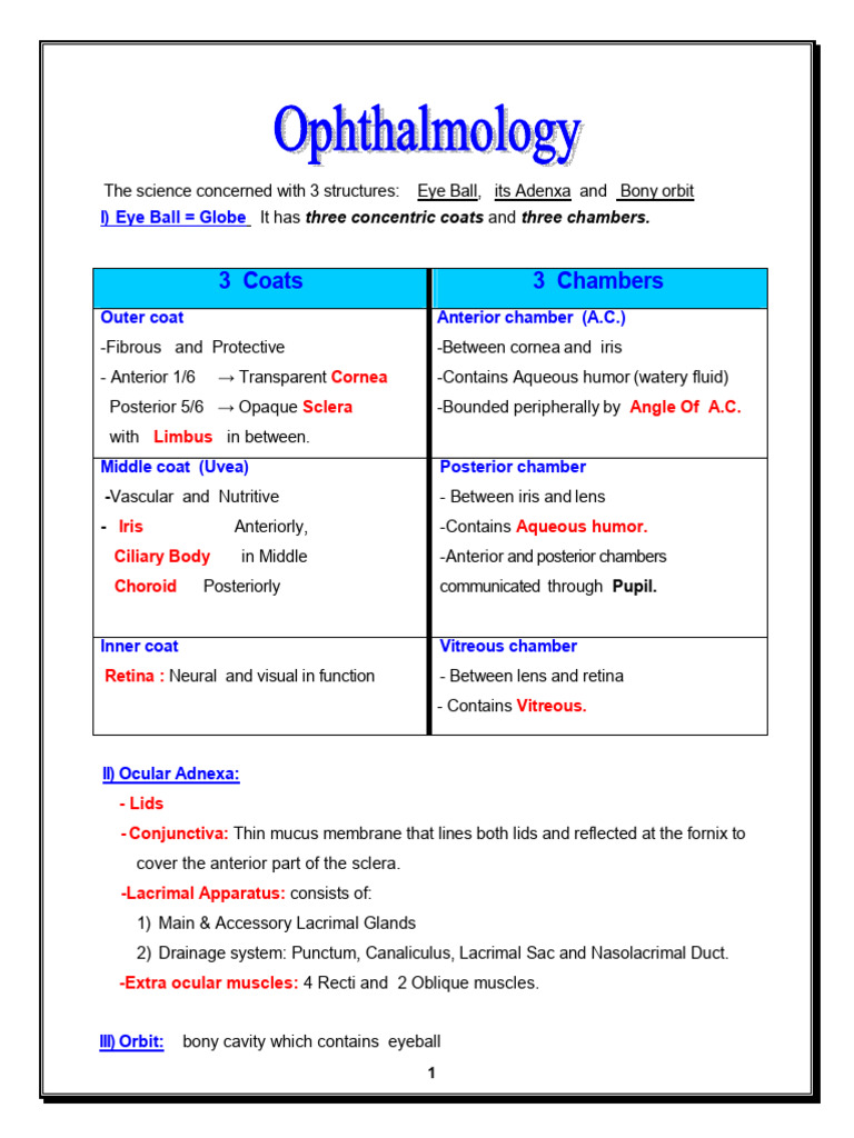 رمد عبدالله نصر | PDF | Human Eye | Ophthalmology