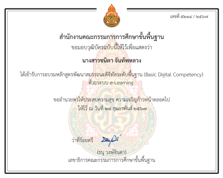 DC Basic Certificate | PDF