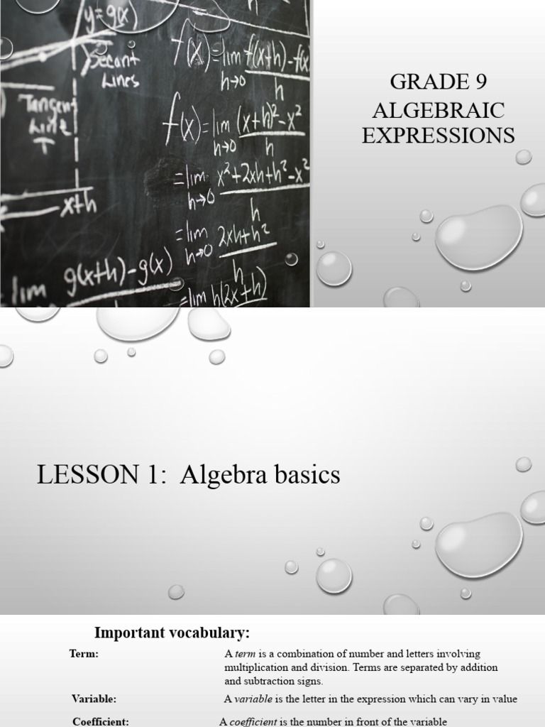 Grade 9 Algebraic Expressions Guide | PDF | Polynomial | Mathematical ...