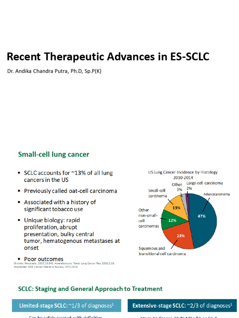 Recent Therapeutic Advances in ES-SCLC: Dr. Andika Chandra Putra, PH.D ...