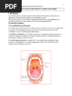 Anatomie et Fonction de la Langue | PDF | Langue | Anatomie humaine