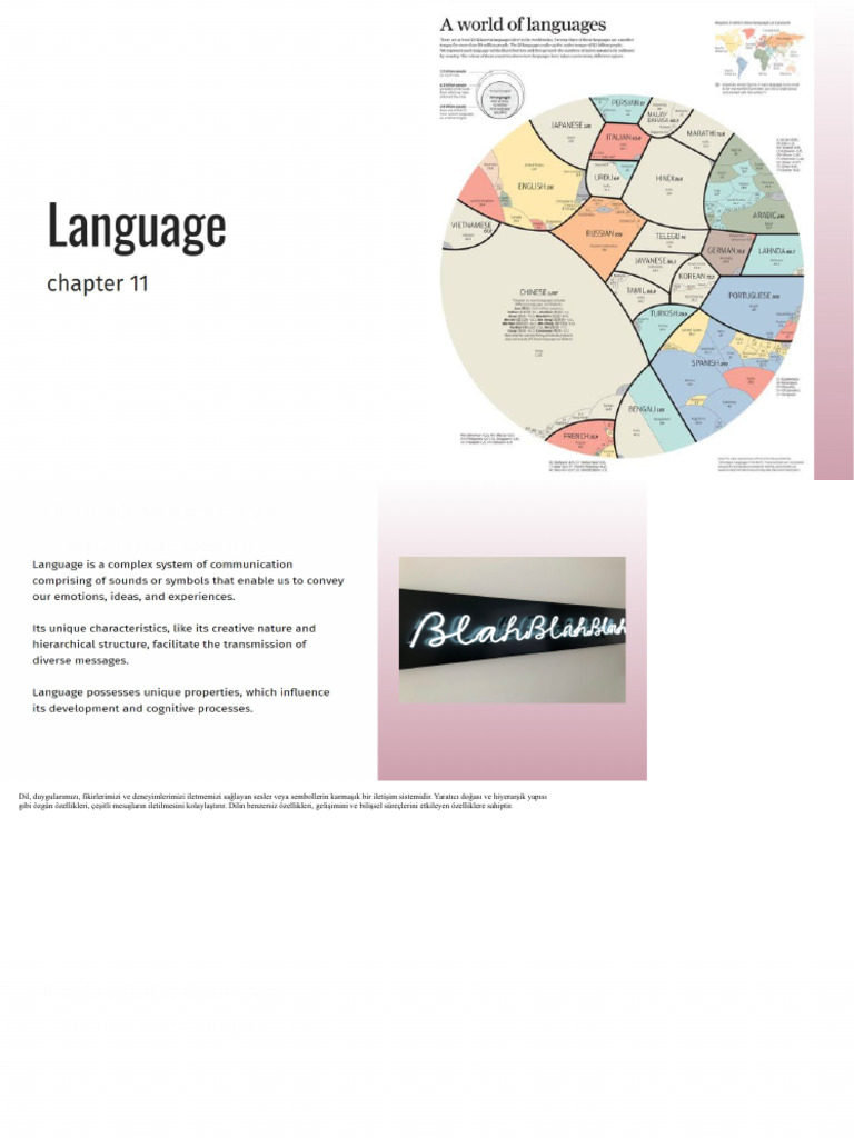 Understanding Language and Communication | PDF | Cognitive Science | Cognition