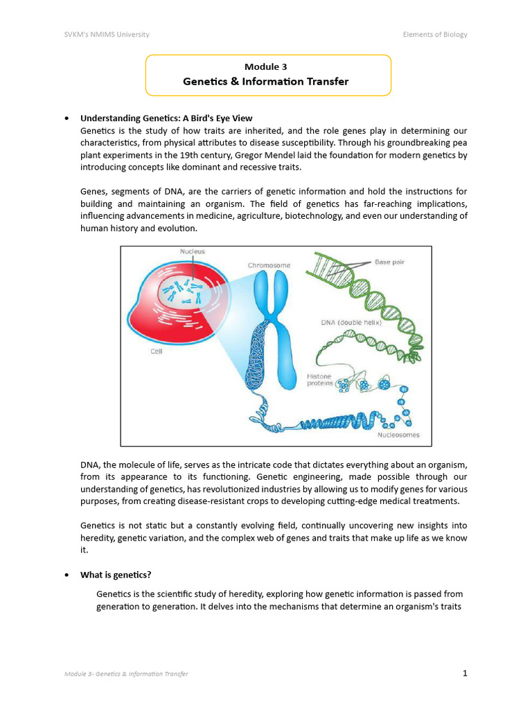 Module 3 - Genetics & Information Transfer | PDF | Dominance (Genetics) | Dna Replication