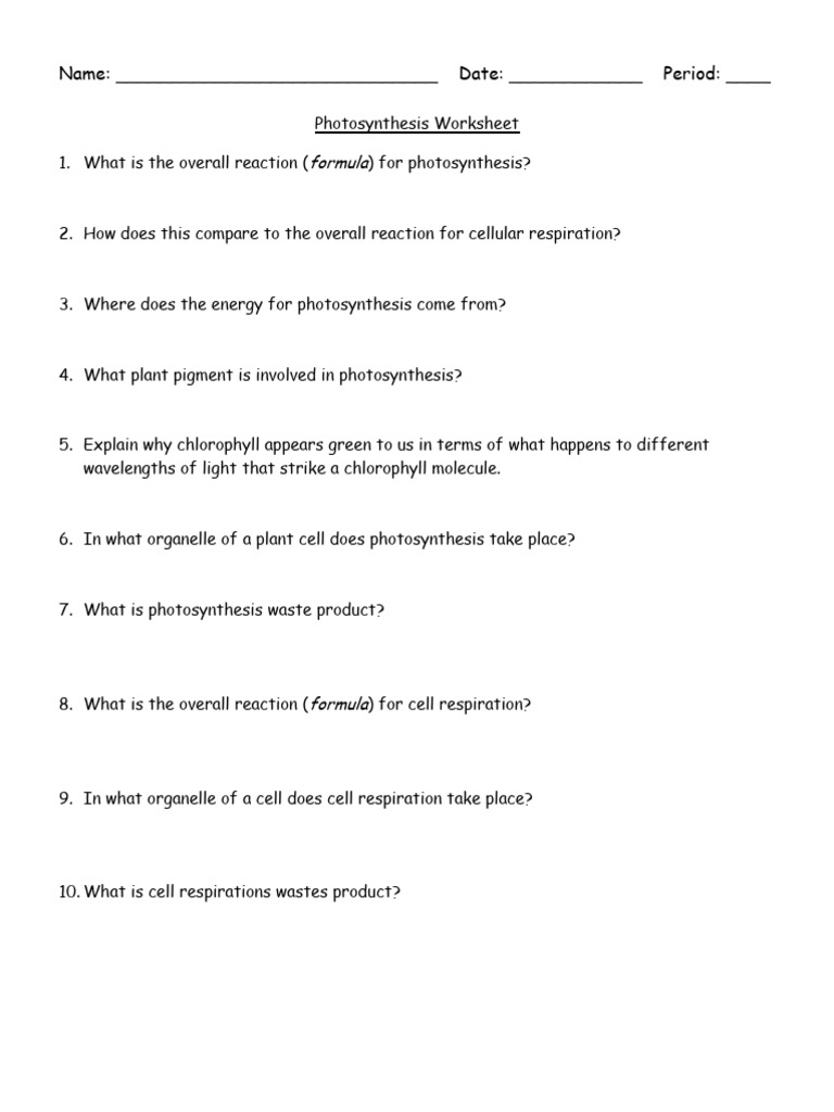 Photosynthesis Worksheet | PDF | Self-Improvement | Science & Mathematics