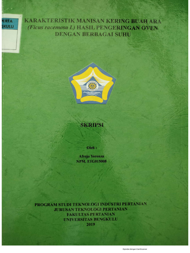 Skripsi Buah Ara | PDF