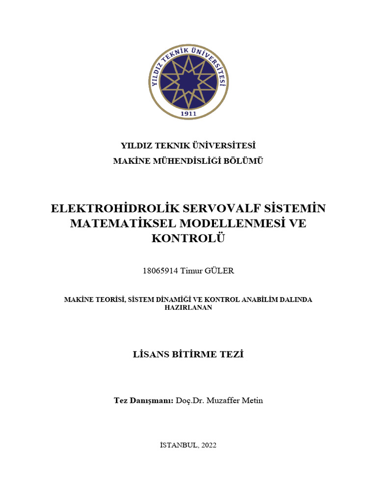 TimurGüler Tez | PDF