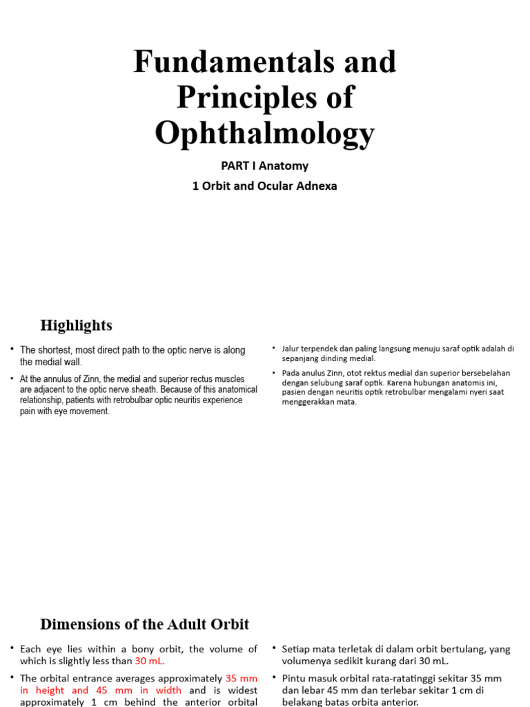 Materi Mata 1 Orbit and Ocular Adnexa | PDF | Otorhinolaryngology ...