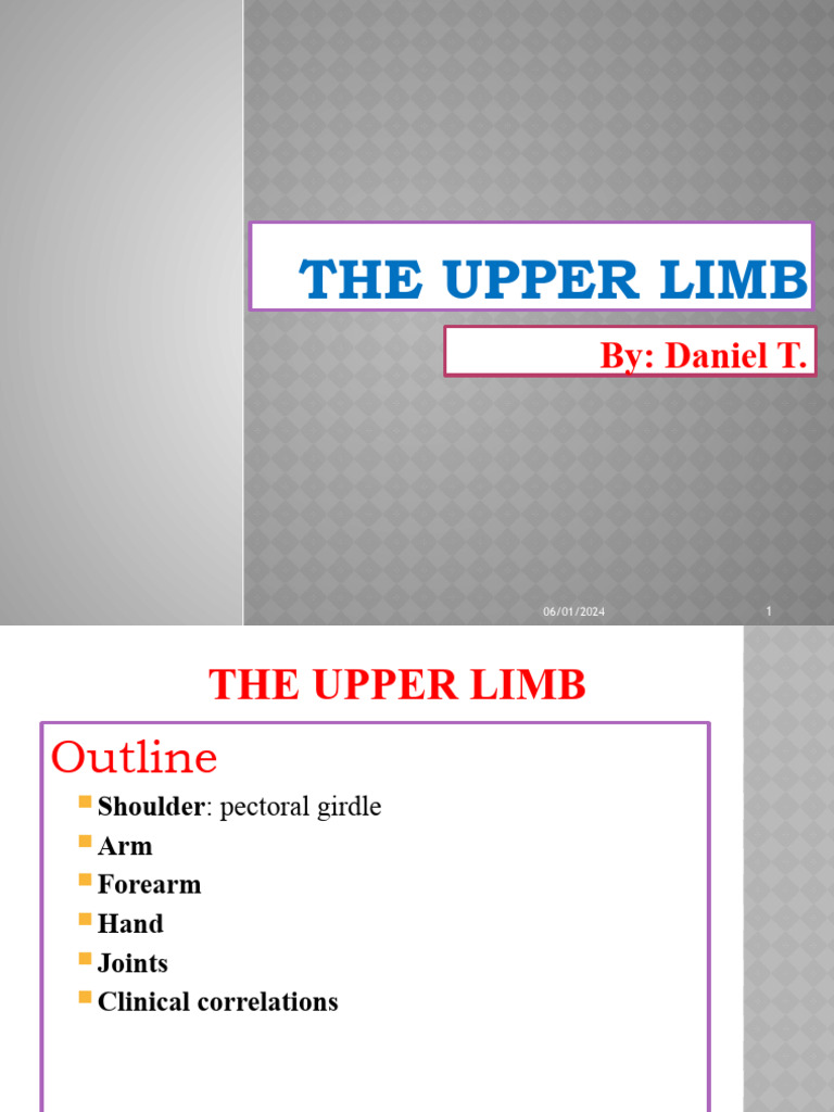 Anatomy of Upper Limb | PDF | Thumb | Hand