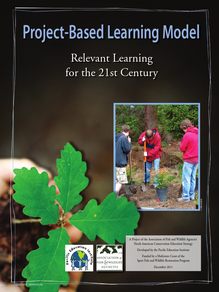 Project Based Learning Model - Guide - FINAL | PDF | Science | Project ...