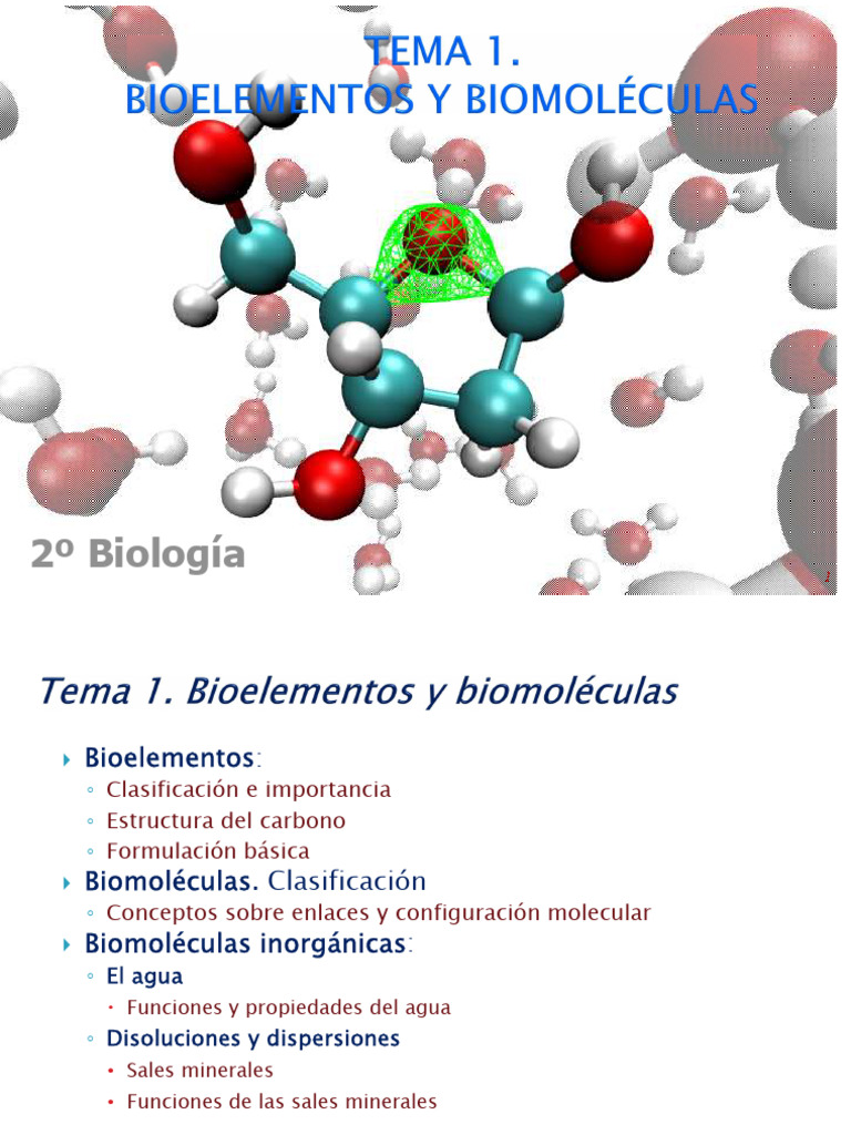01 - Bioelementos y Biomoléculas - Diapositivas | PDF | Enlace covalente | Polaridad química