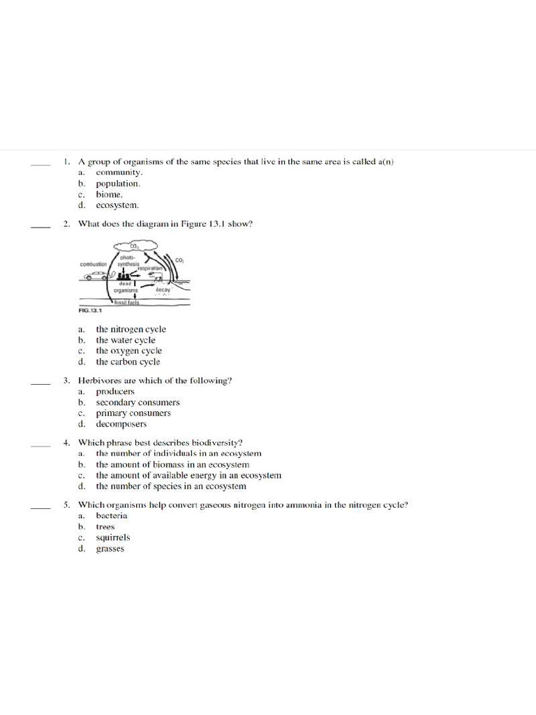 CH 13 Test | PDF