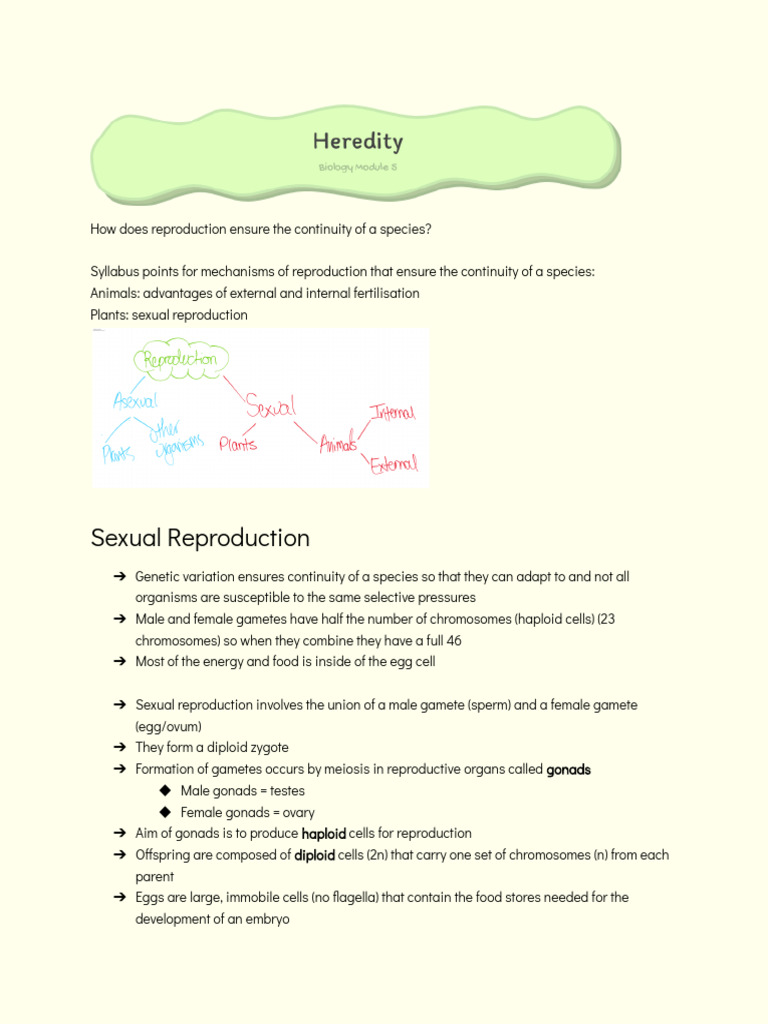 Heredity | PDF | Meiosis | Menstrual Cycle