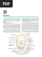 Perineal Region | PDF | Pelvis | Clitoris