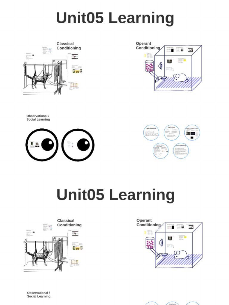 Unit 05 - Learning | PDF