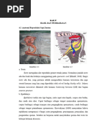 Gambar Alat Reproduksi Sapi Betina | PDF