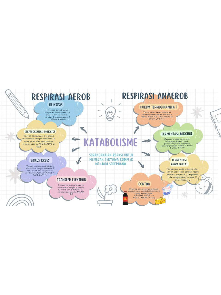 Respirasi Aerob | PDF