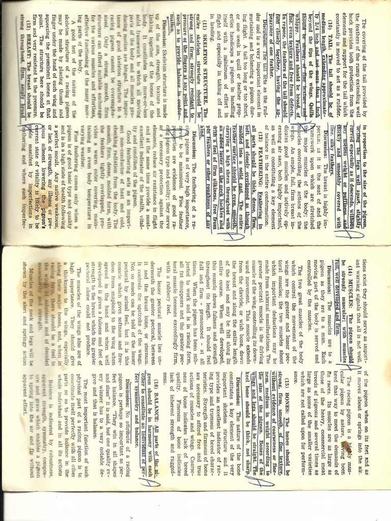 Standard Pages 5-6 | PDF