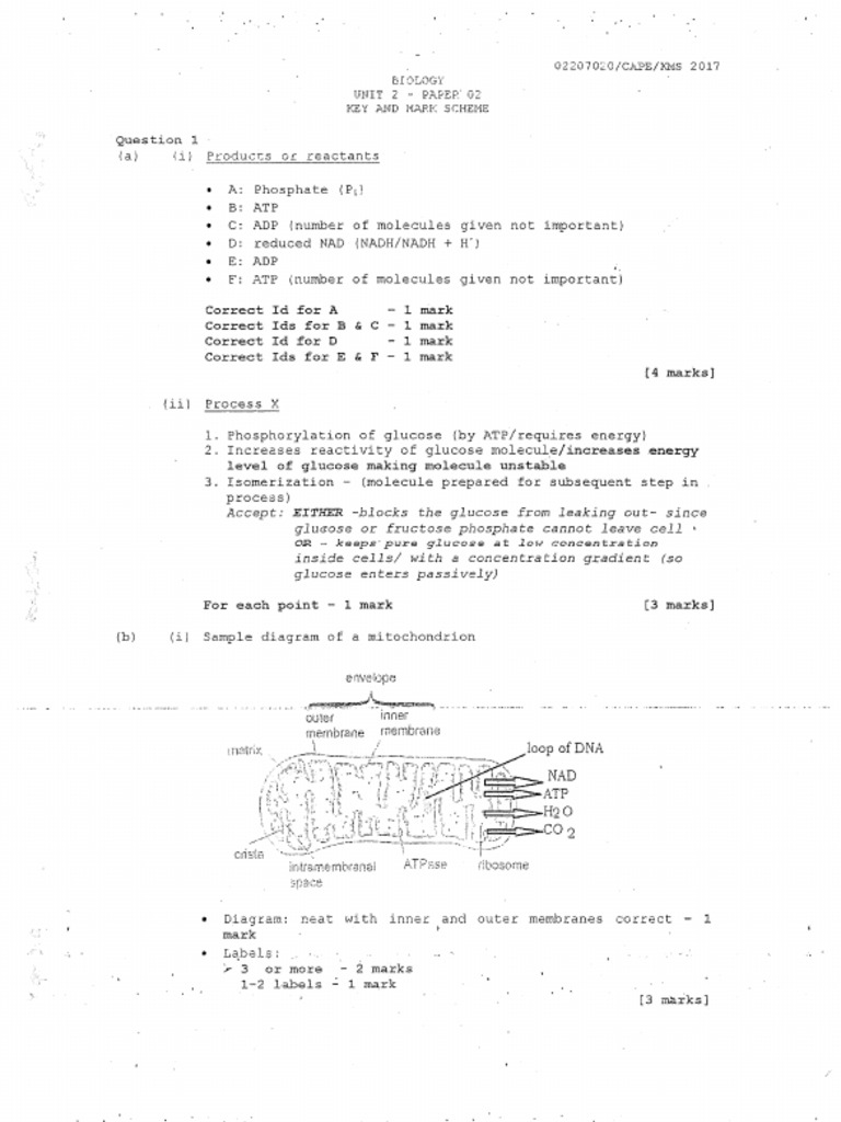 Biology Unit 2 Paper 2 Mark Schemes 2010 - 2017 | PDF