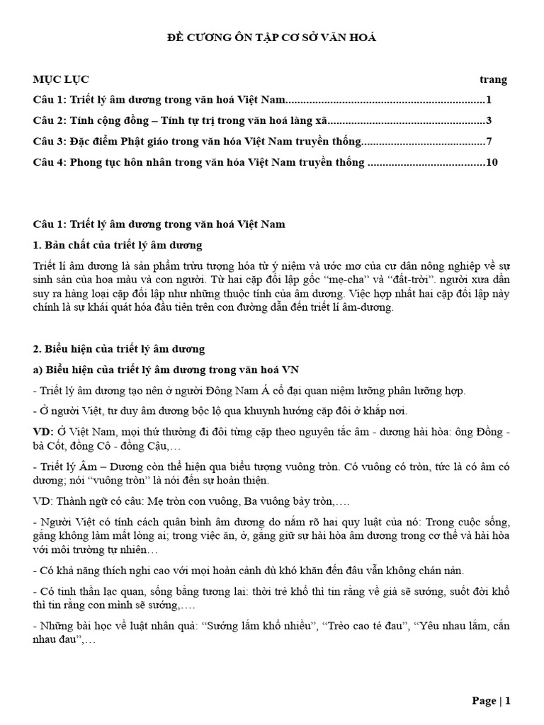 ĐỀ CƯƠNG ÔN TẬP CSVH | PDF