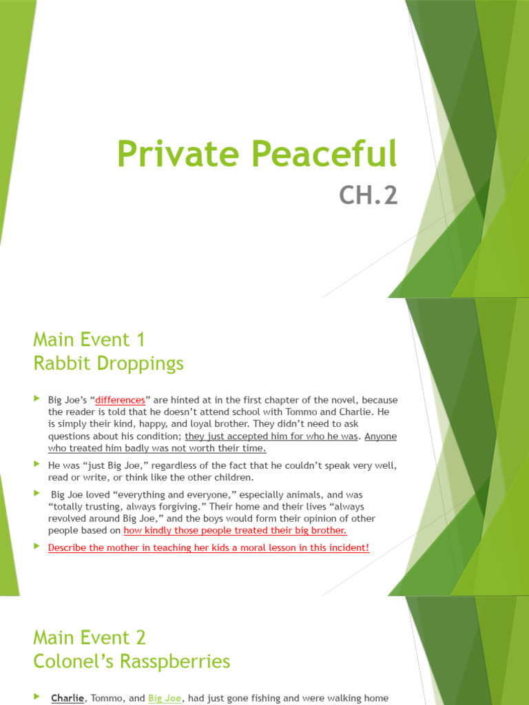 Private Peaceful Ch. 2 Analysis | PDF