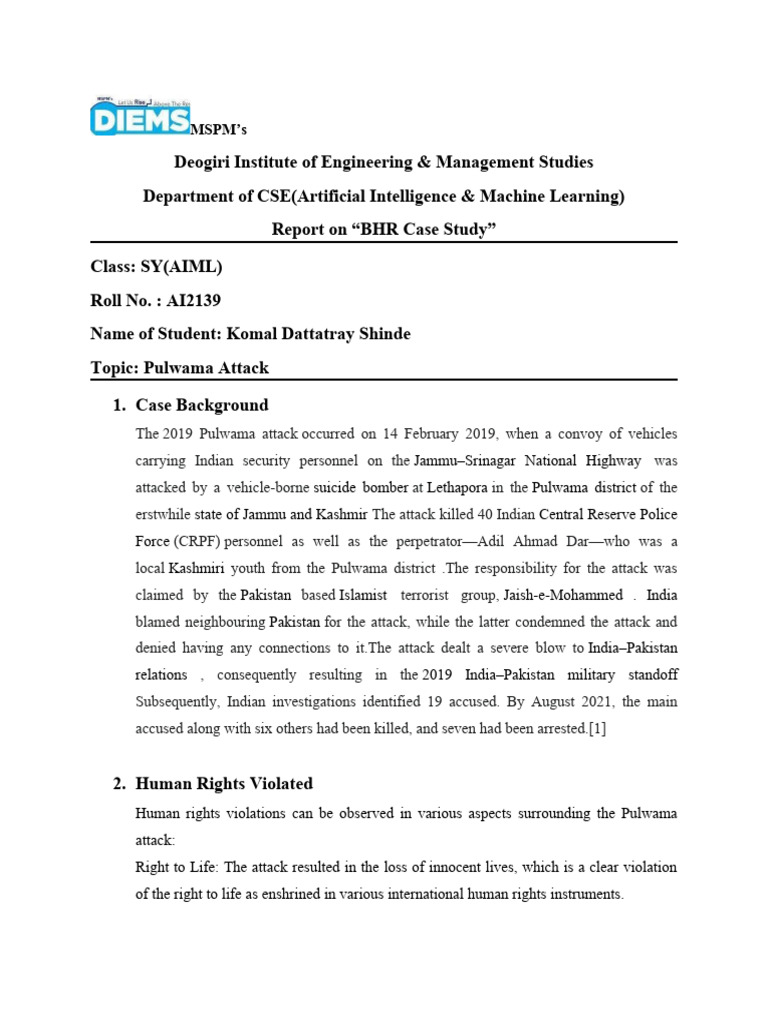 BHR Report | Download Free PDF | Human Rights | Justice