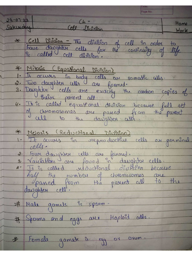 Cell Divison Notes | PDF