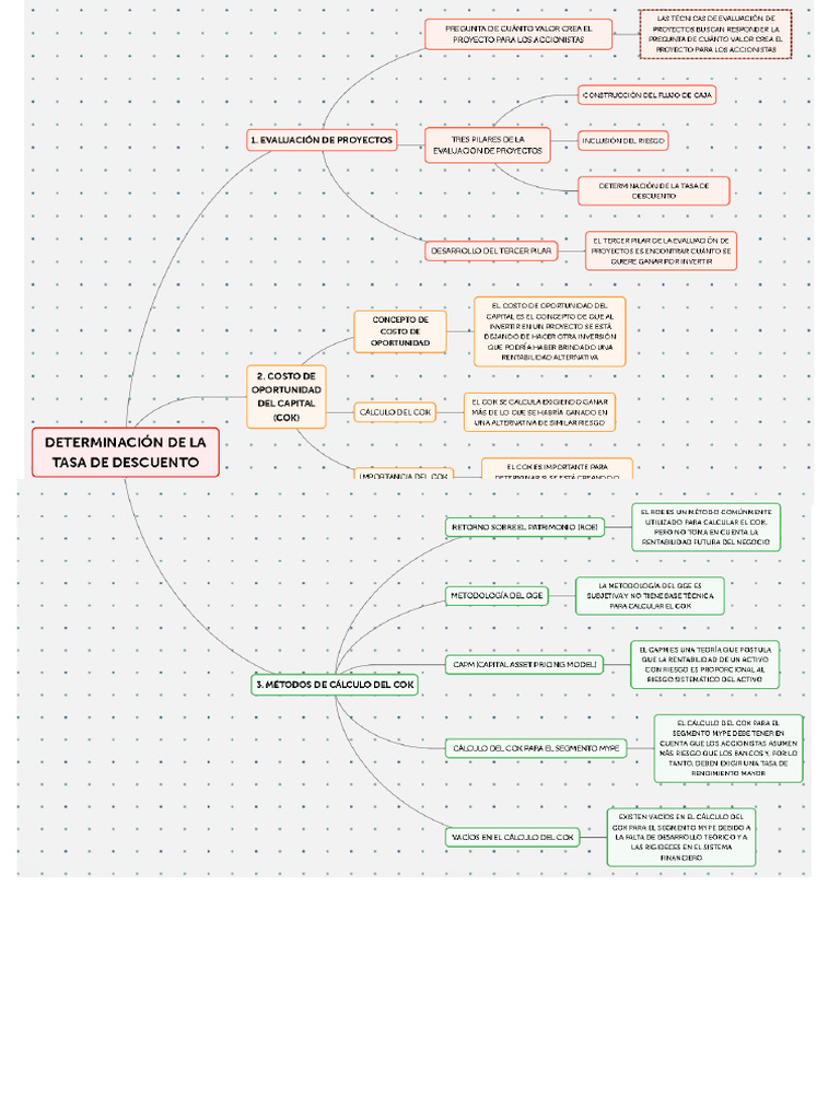 Mapa Mental Evaluacion de Proyectos | PDF