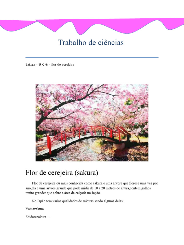 Trabalho Flor de Cerejeira (Sakura) | PDF | Casa e Jardim