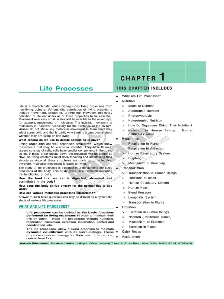 Life Processes | PDF