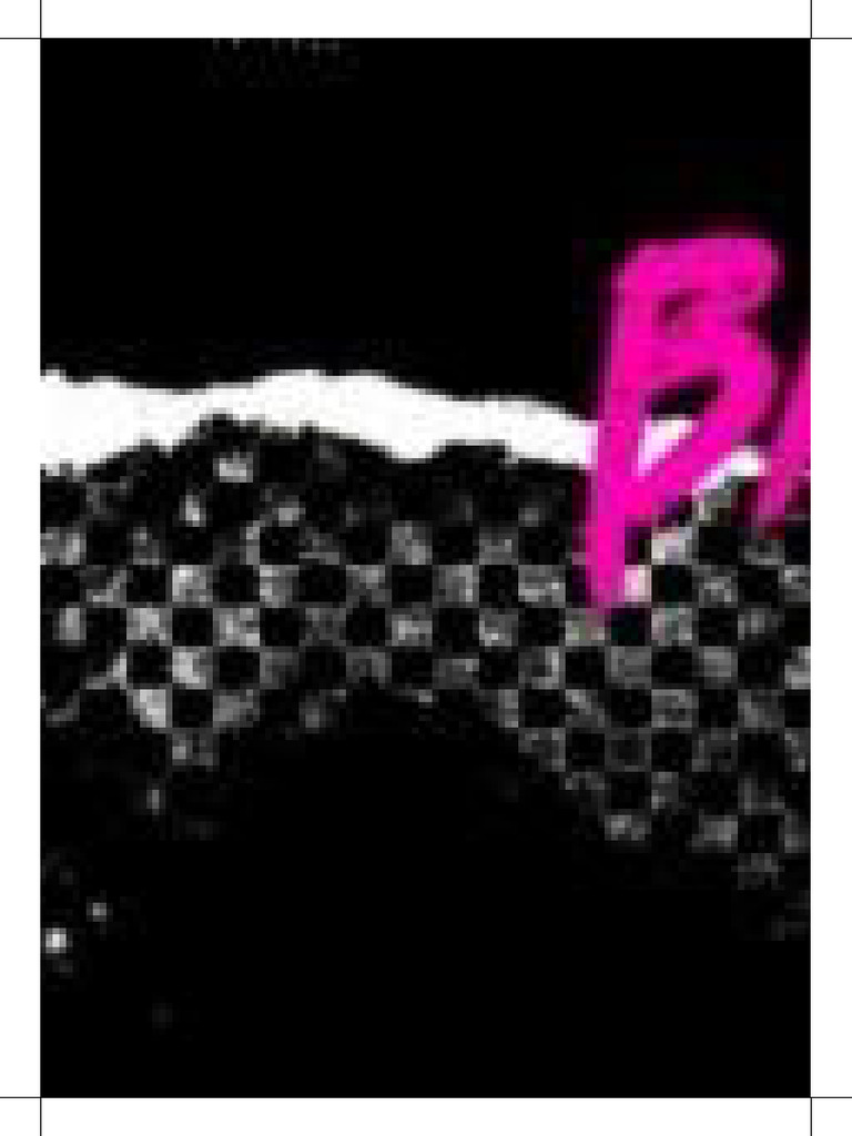 Rasterbation 1 | PDF
