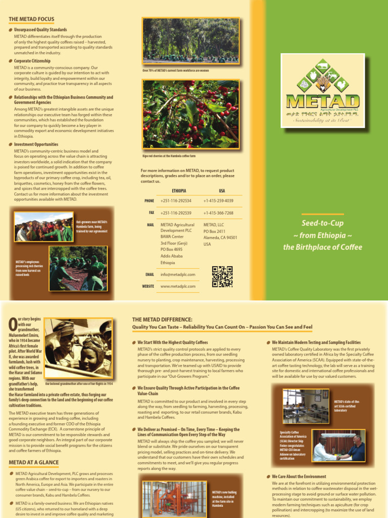 METAD-Brochure English | PDF | Coffee | Agriculture
