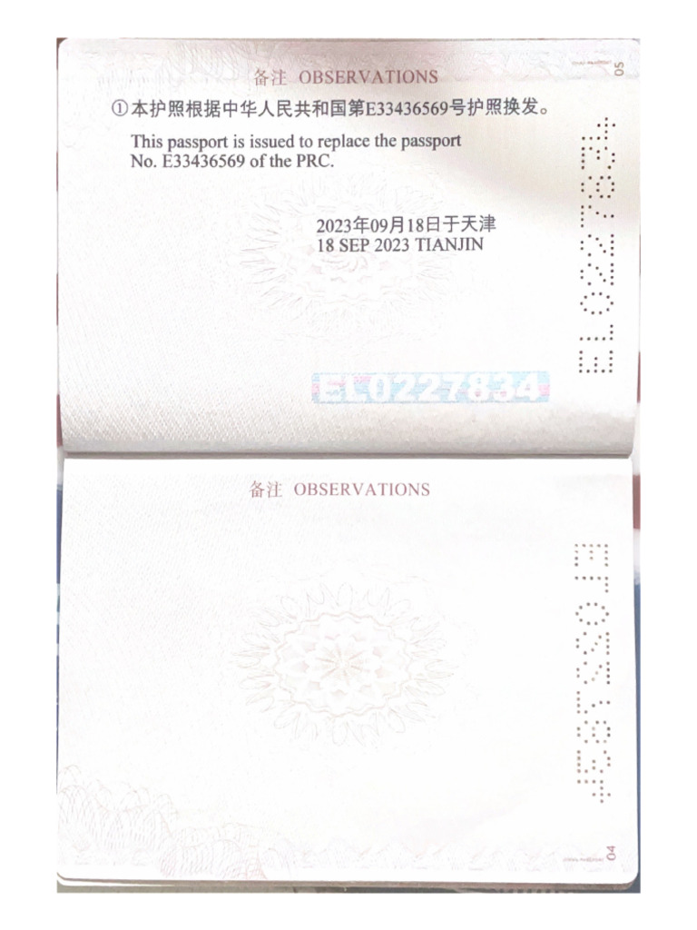 This Passport Is Issued To Replace The Passport | PDF