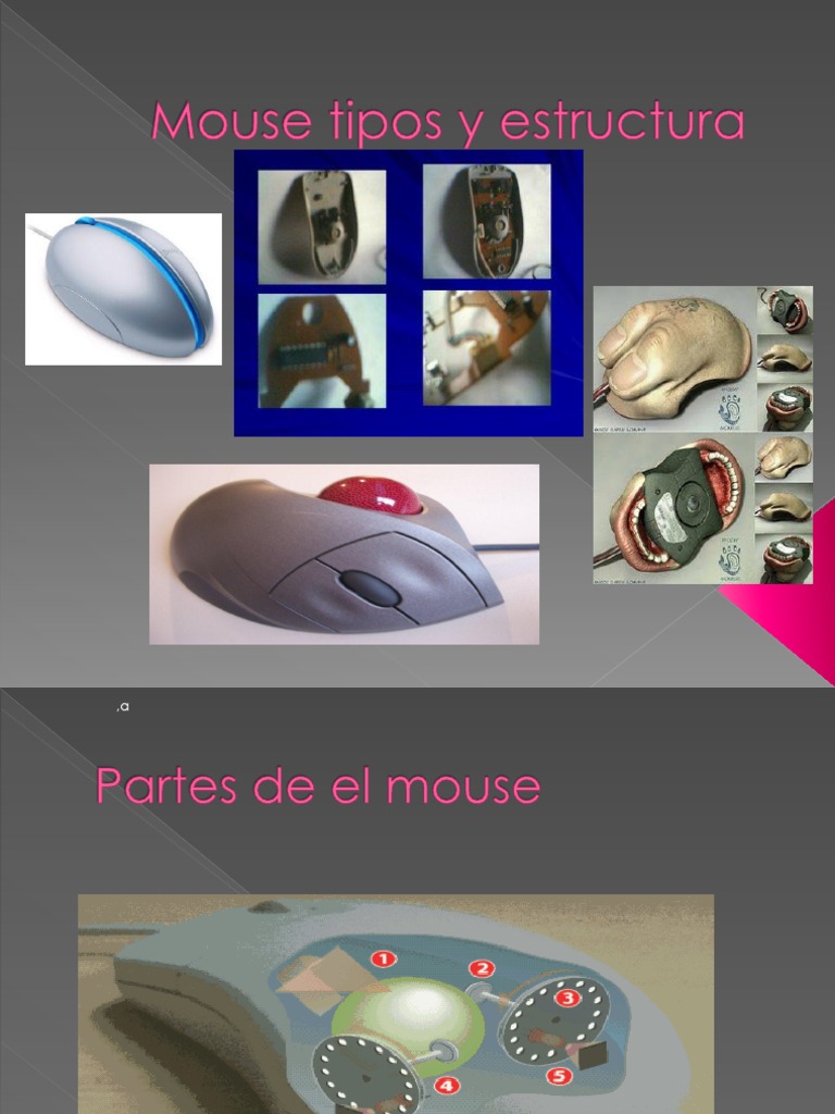 Mouse Tipos y Estructura | PDF | Informática | Science