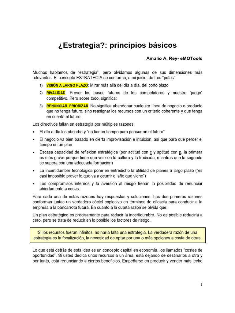 13 Estrategia Principios Basicos | PDF | Planificación estratégica | Planificación