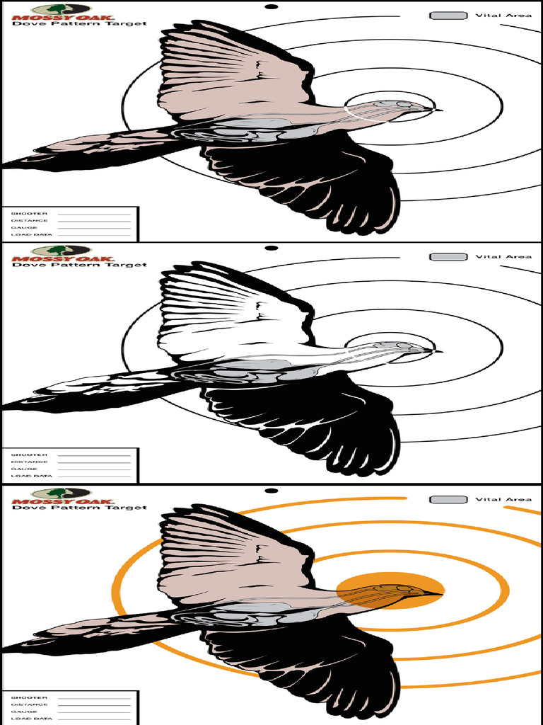 Dove Target All | PDF