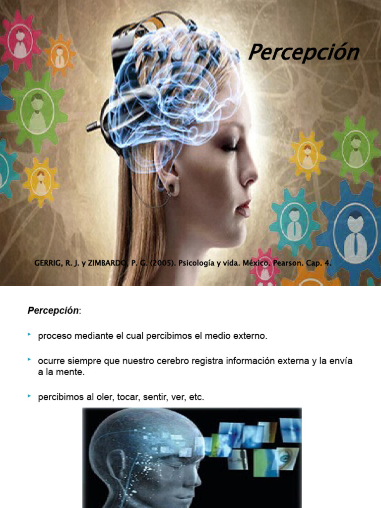 Percepción y Sensación | PDF | Percepción | Sentidos