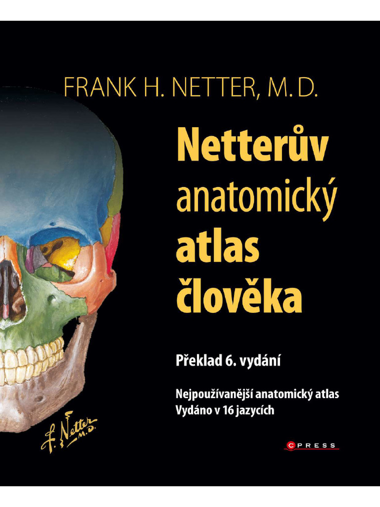 F. Netter - Anatomický Atlas Člověka | PDF