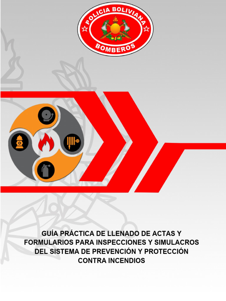 Guía Práctica de Llenado de Actas y Formularios para Inspecciones y ...