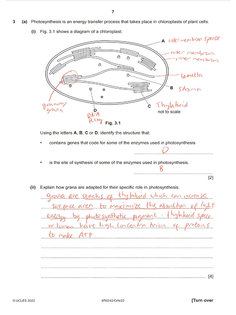 Biology Part 2 - 240313 - 133712 | PDF