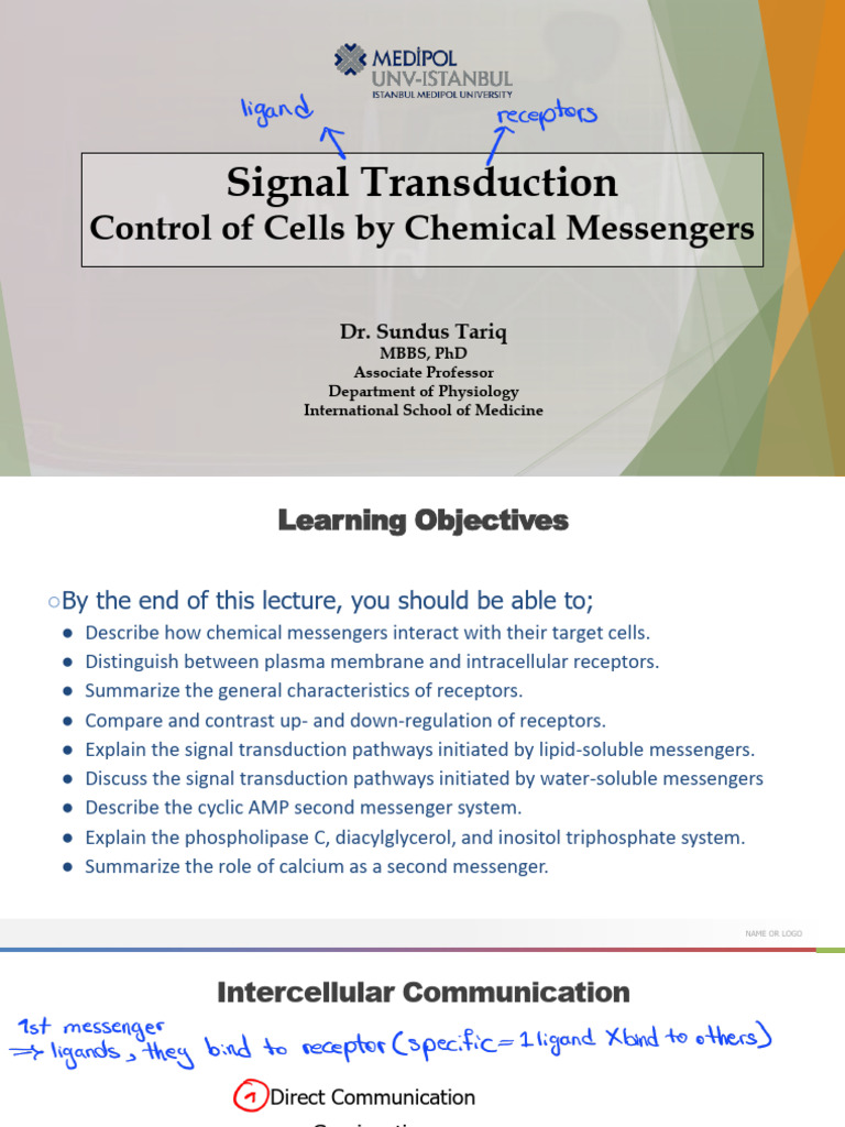 3 Signal Transduction Pdf Cell Signaling Signal Transduction