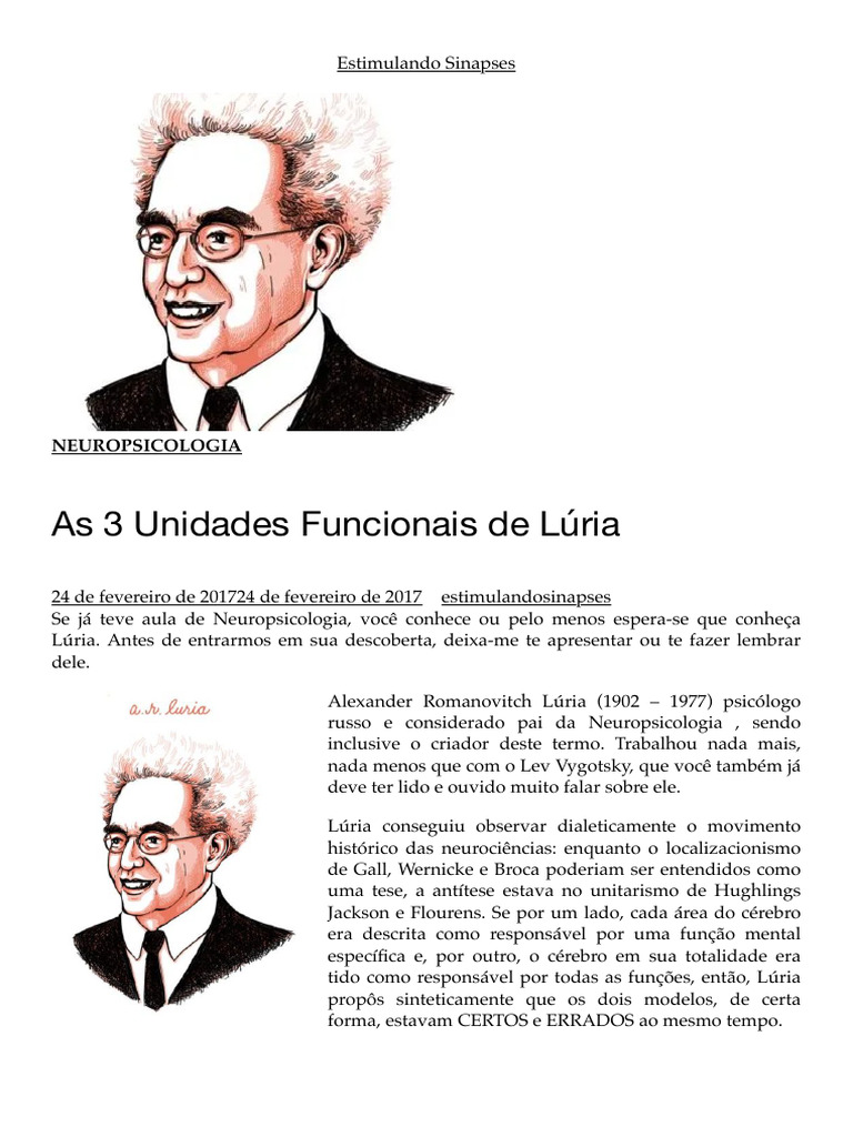As 3 Unidades Funcionais de Lúria - Estimulando Sinapses | PDF | Córtex ...