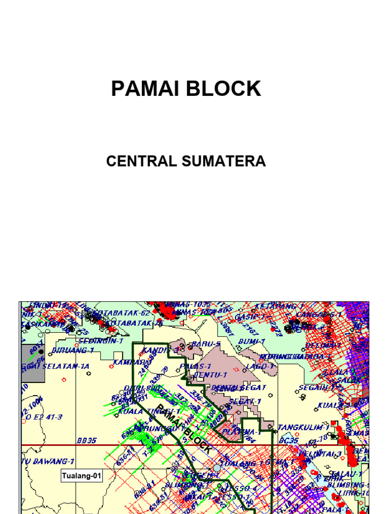 Pamai Taluk Block | PDF